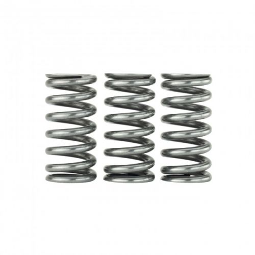 Skunk2 L15B7 16-23 Civic 1.5T Ultra Valve Springs and Spring Base Kit ...