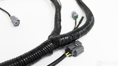 Rywire 92-95 Civic / 94-01 Integra B-Series Engine Harness: K Series Parts