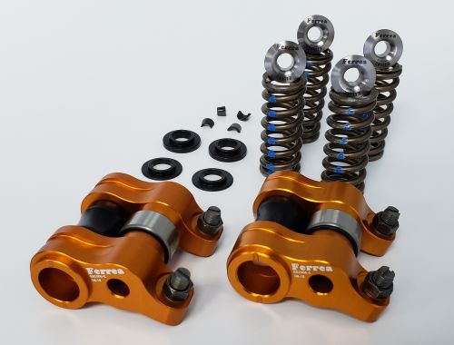 Ferrea 17-21 Civic Type R Valvespring/Roller Rocker Valvetrain Kit ...